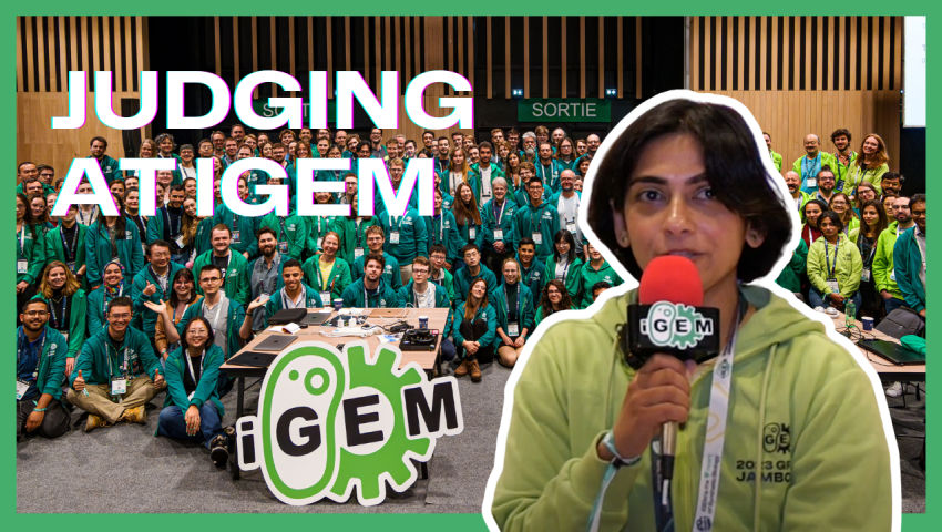 What it's like to be an iGEM Judge?